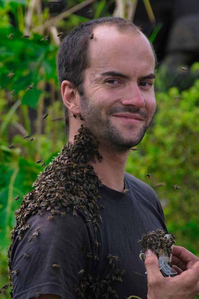 Project Bees is a initiative dedicated to safeguarding the bee ...