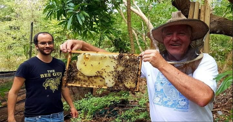 The Bee Guy project 2