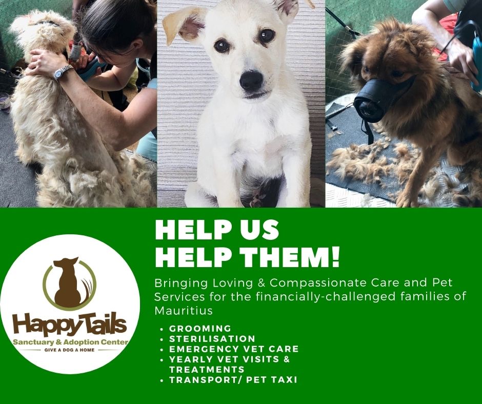 Happy Tails: Paws for a Cause